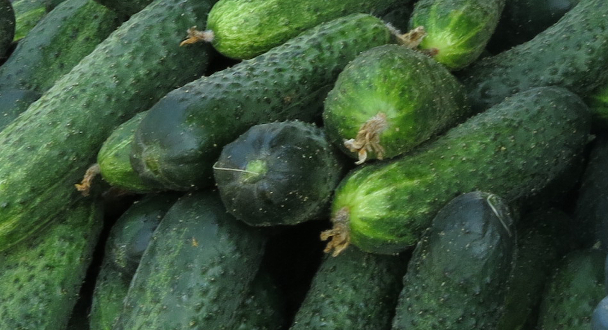 JUNGTINĖ KARALYSTĖ: PREKYBOS TINKLAI NORMUOJA VAISIŲ IR DARŽOVIŲ ...