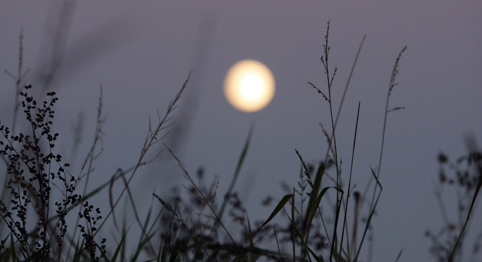 RINKIMAI IR MĖNULIO FAZĖS - Kupiškėnų mintys