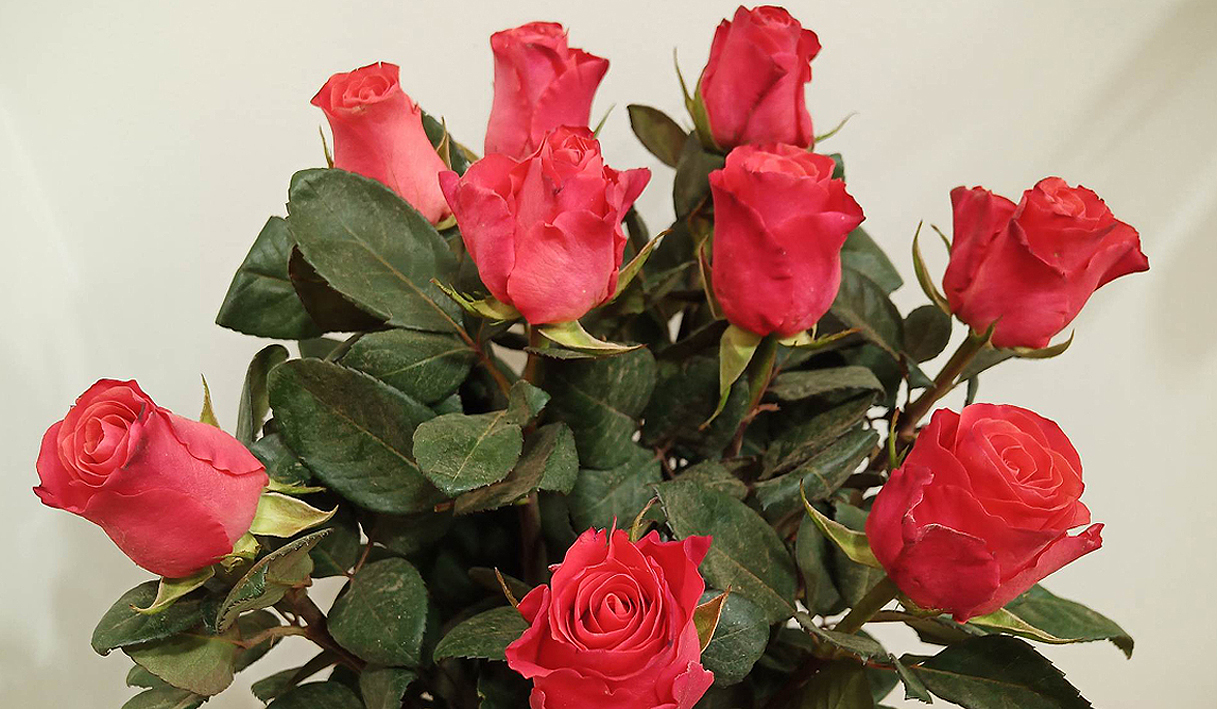 HOROSKOPAS BIRŽELIO 4 D. - Kupiškėnų mintys