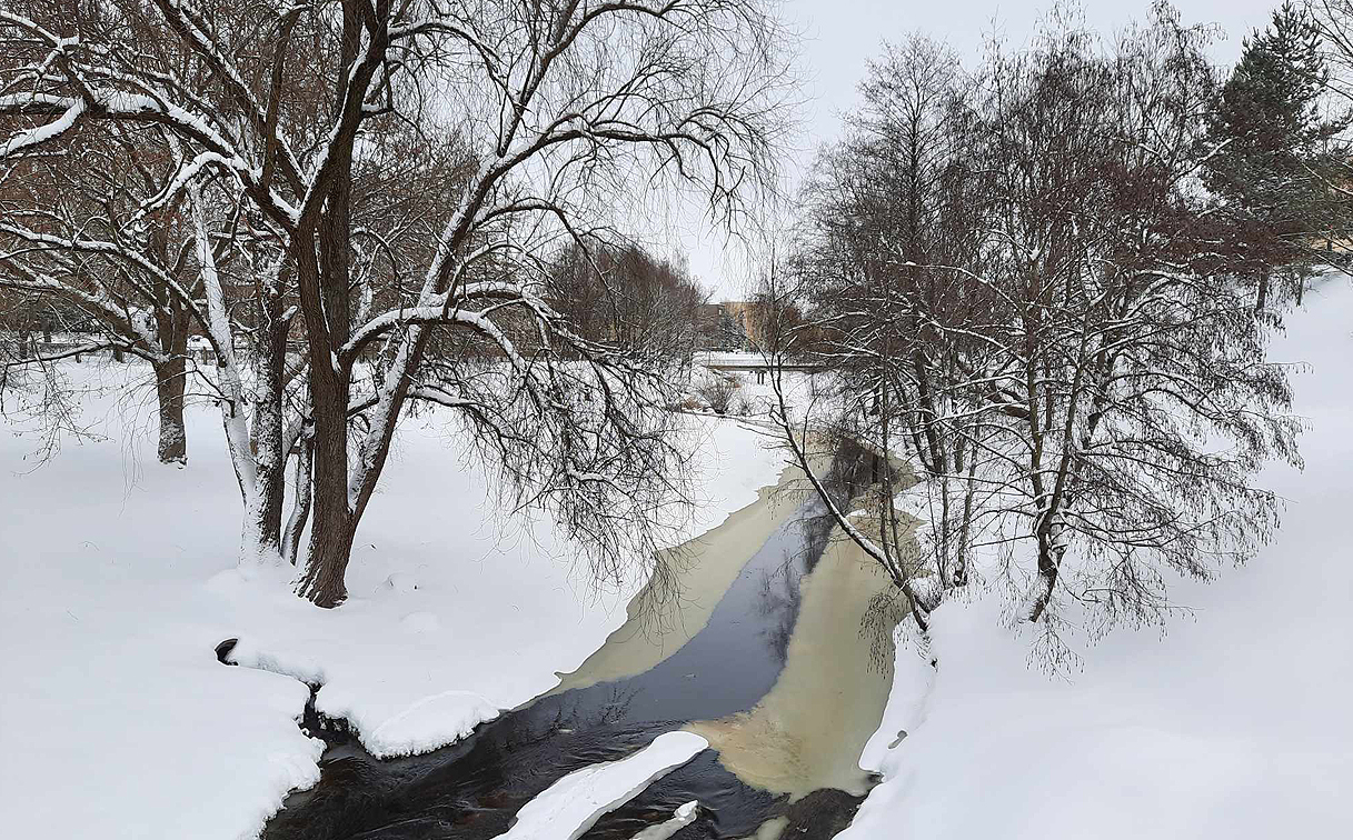 GRUODIS TURĖTŲ BŪTI PERMAININGAS - Kupiškėnų mintys